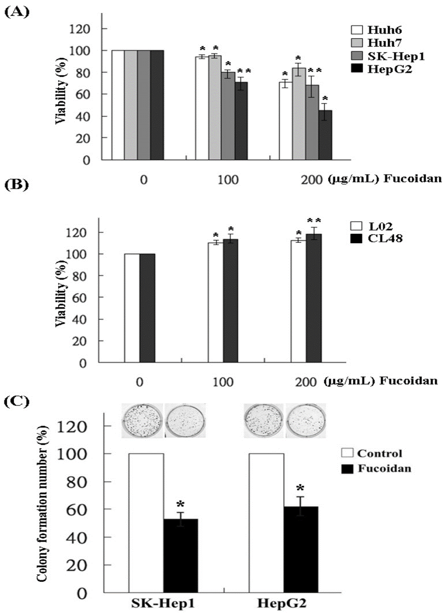Fucoidan activates the tumor suppressor cascade in HCC cells by ...